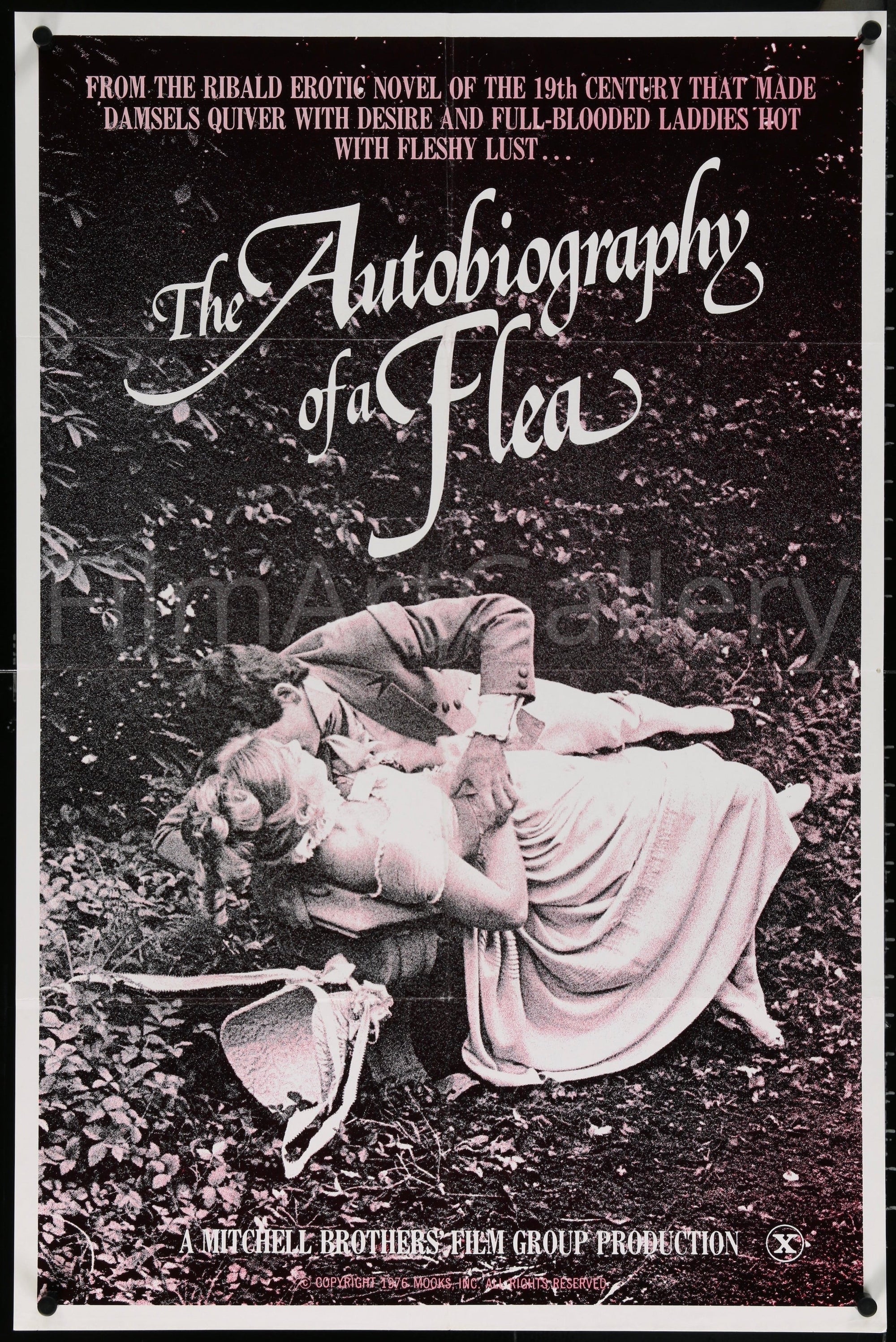 Autobiography of a Flea Movie Poster 1976 1 Sheet (27x41)