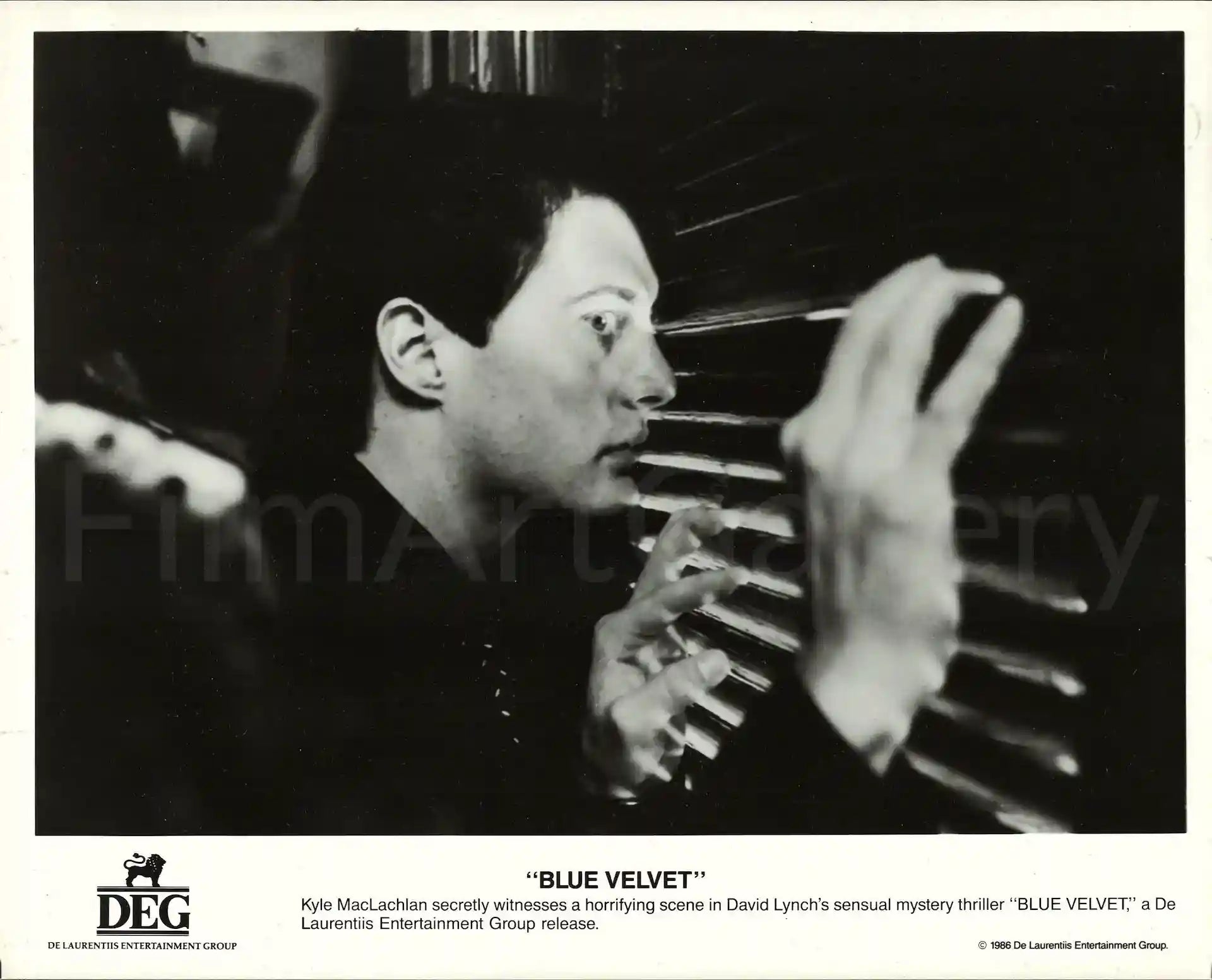 Blue Velvet Movie Poster 1986 1 Sheet (27x41)