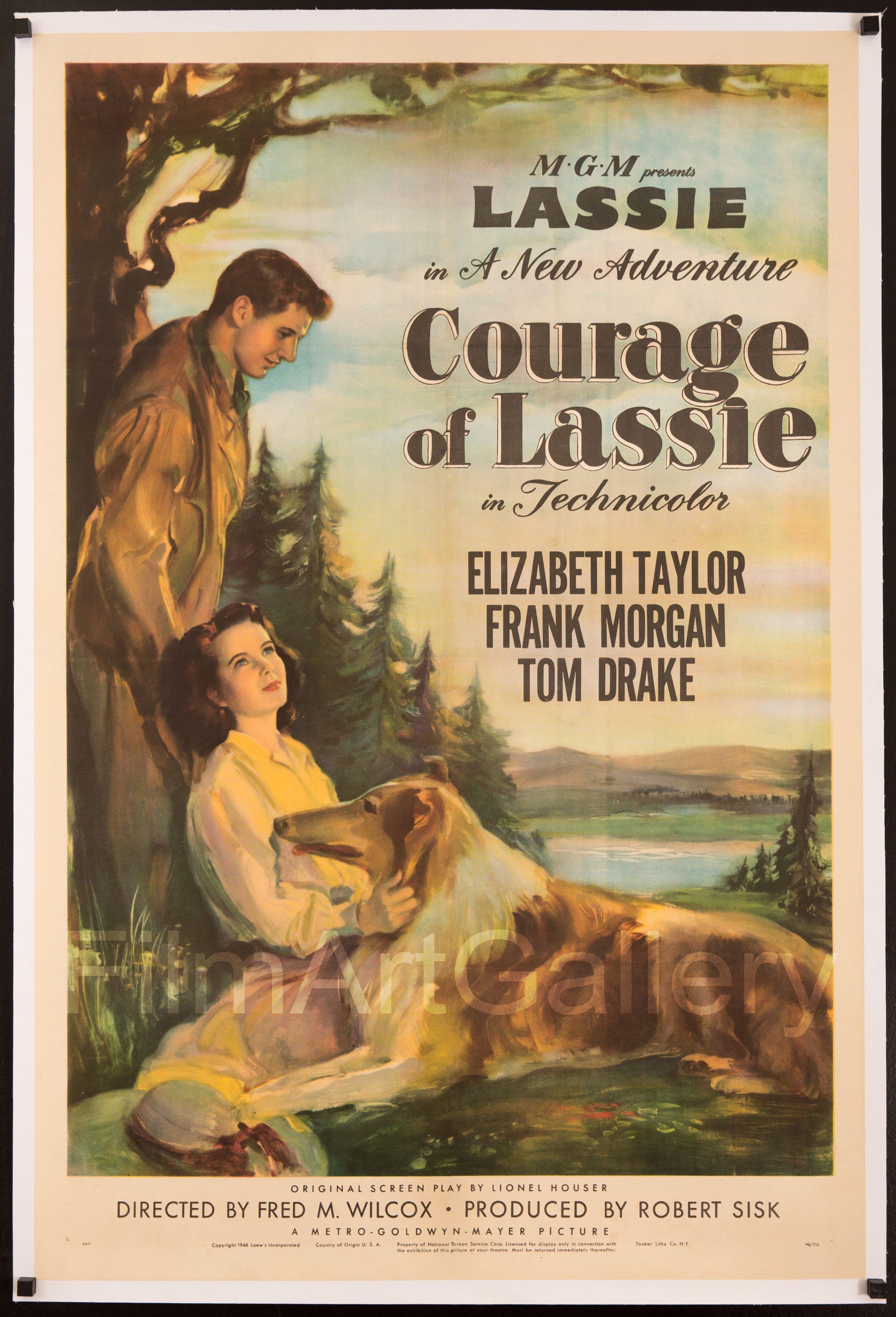 Courage of Lassie Movie Poster 1946 1 Sheet (27x41)