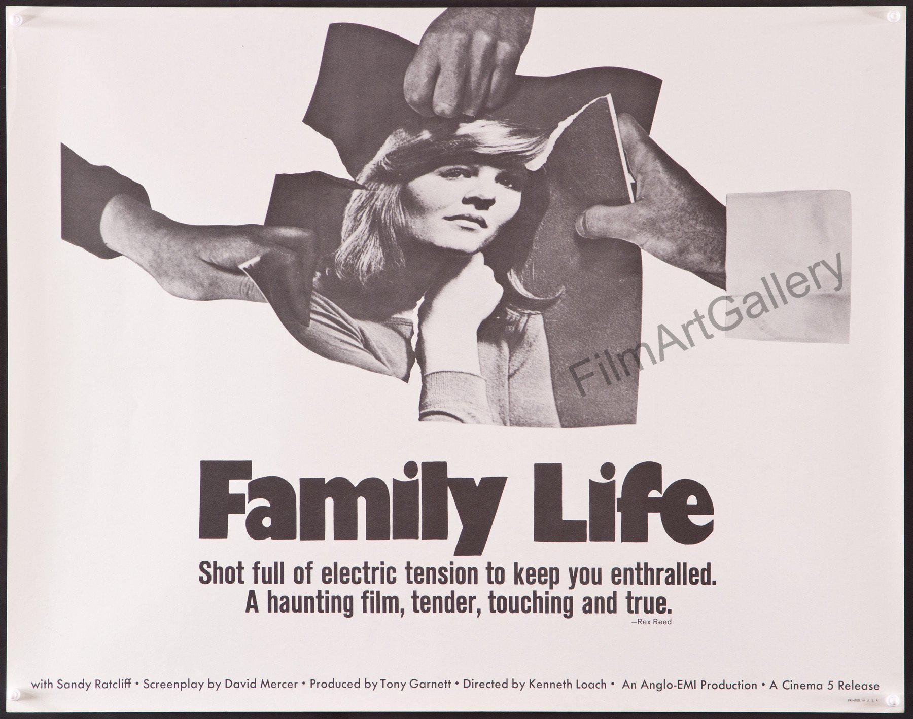 Family Life Movie Poster 1972 Half sheet (22x28)