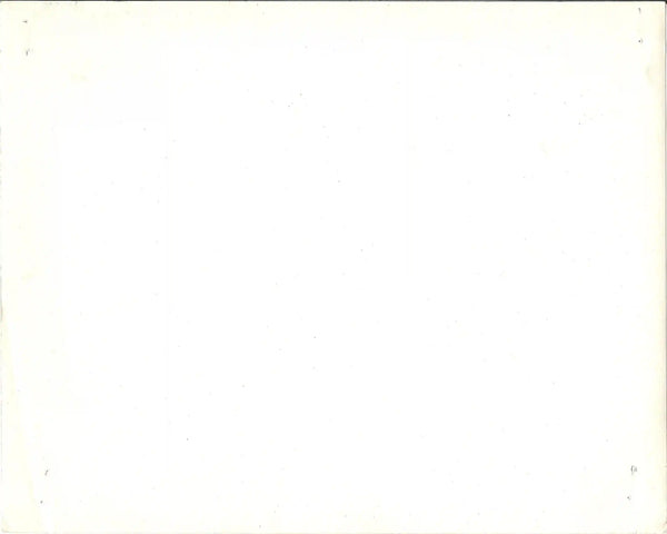 Inside Daisy Clover Movie Poster 1965 8x10