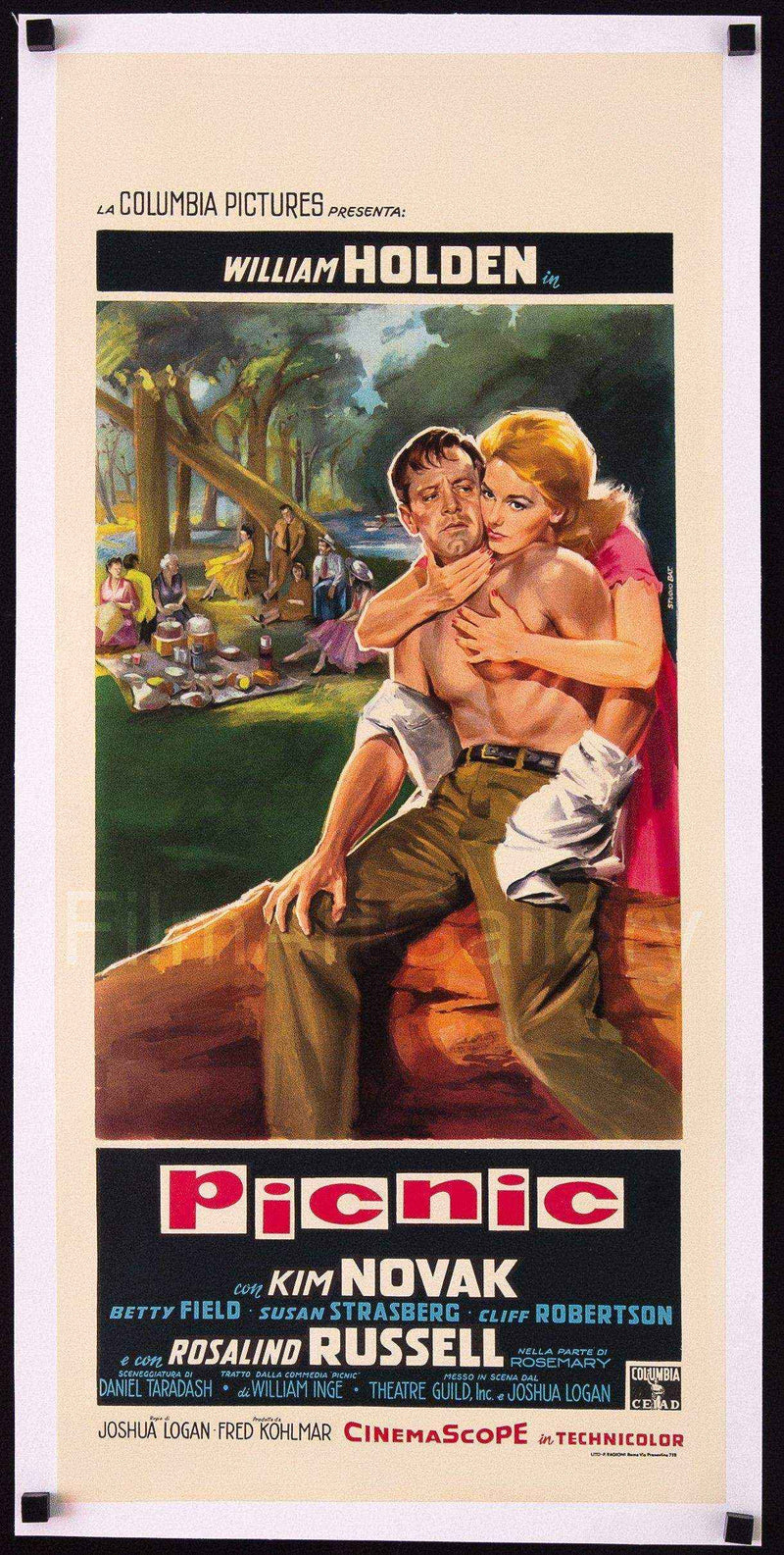 Picnic Movie Poster 1956 Italian Locandina (13x28)