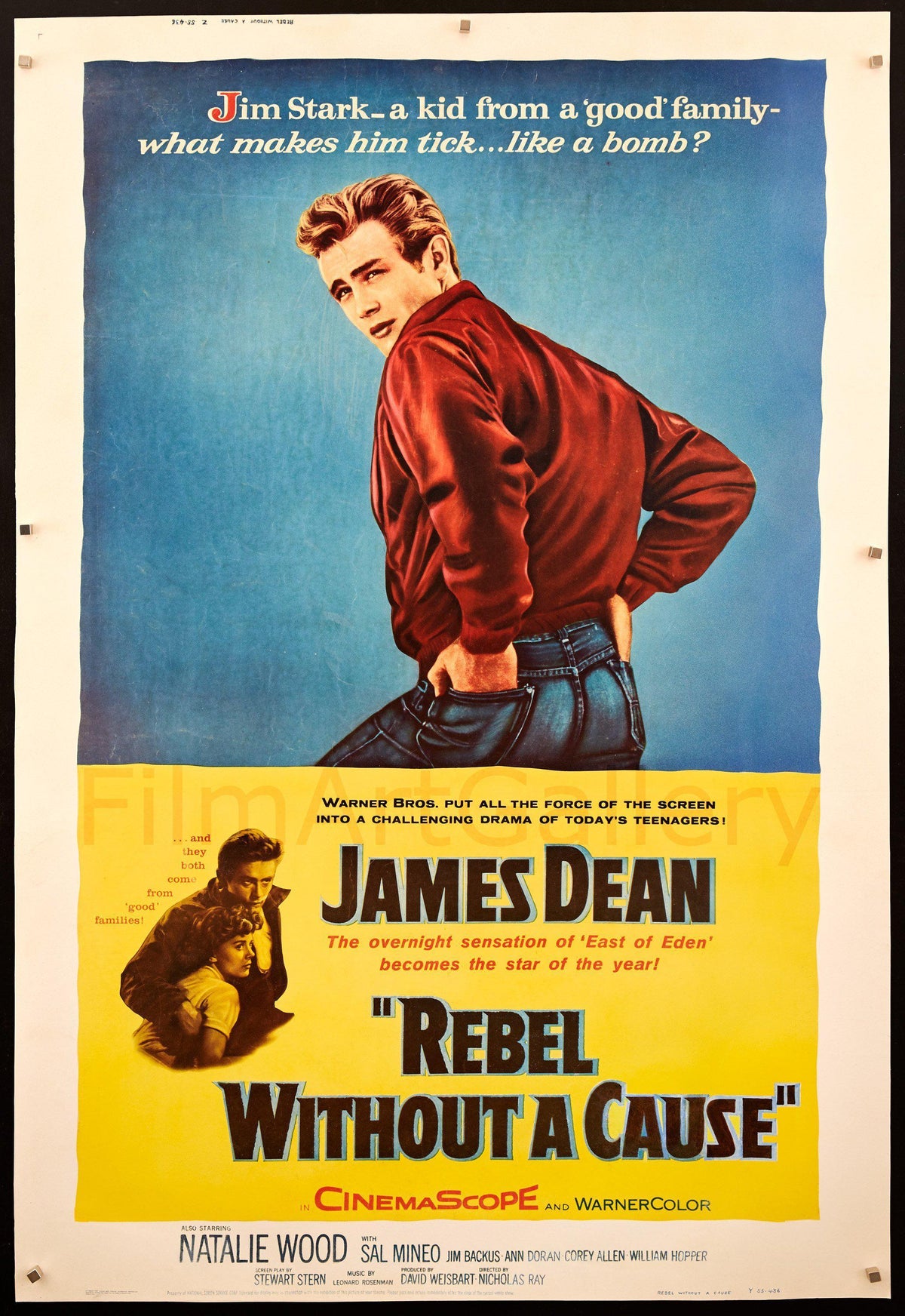 Rebel Without a Cause Movie Poster 1955 40x60