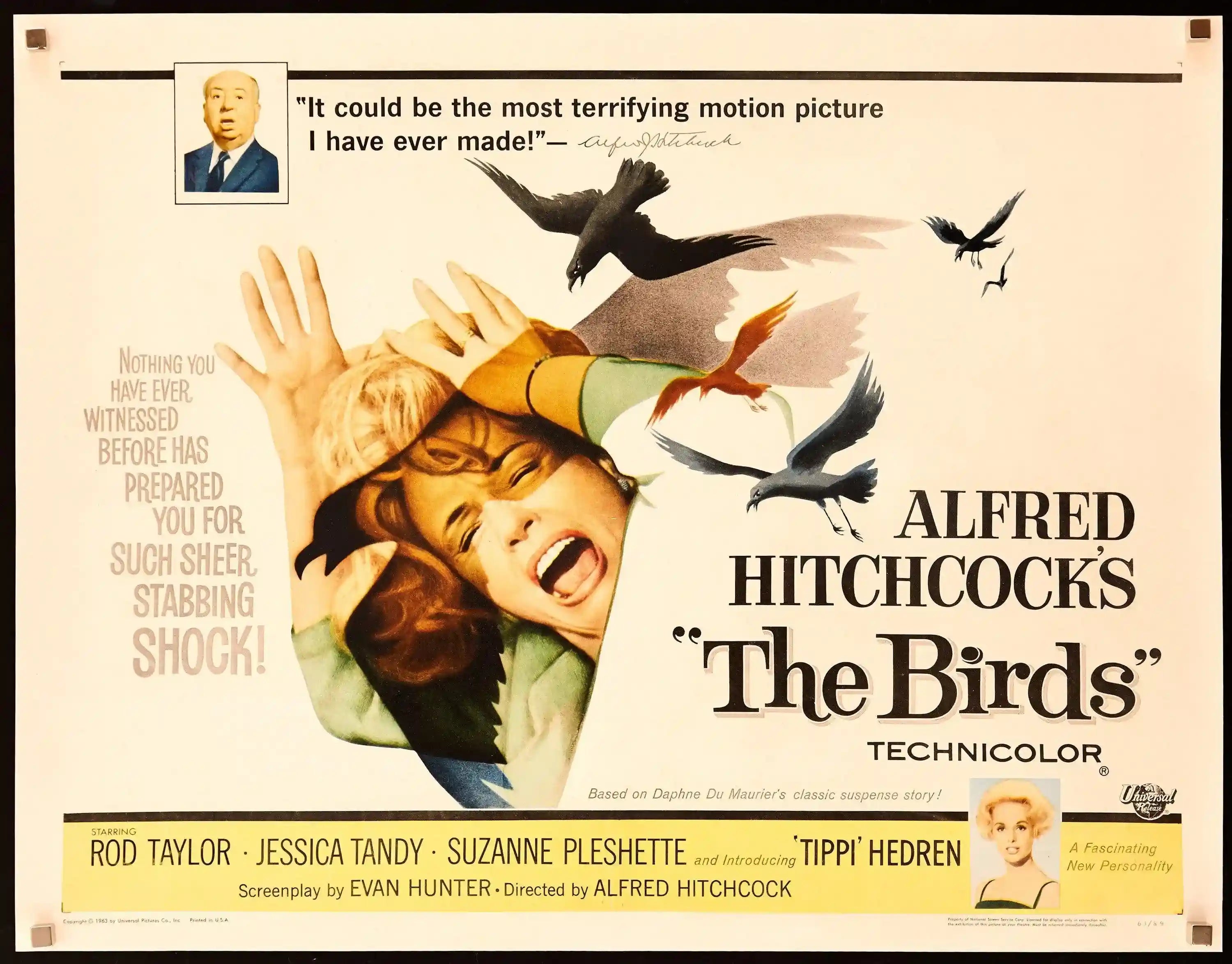 Birds Movie Poster