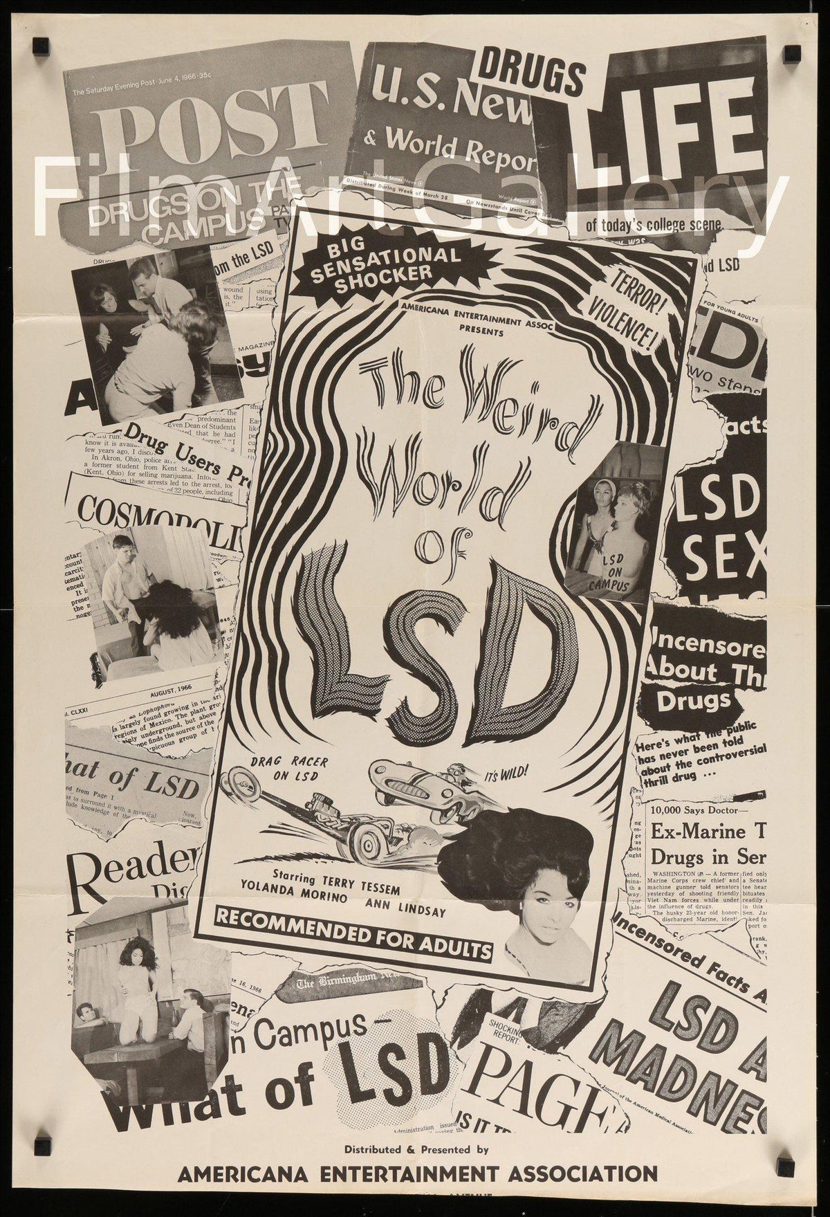 The Weird World of LSD Movie Poster 1967 1 Sheet (27x41)