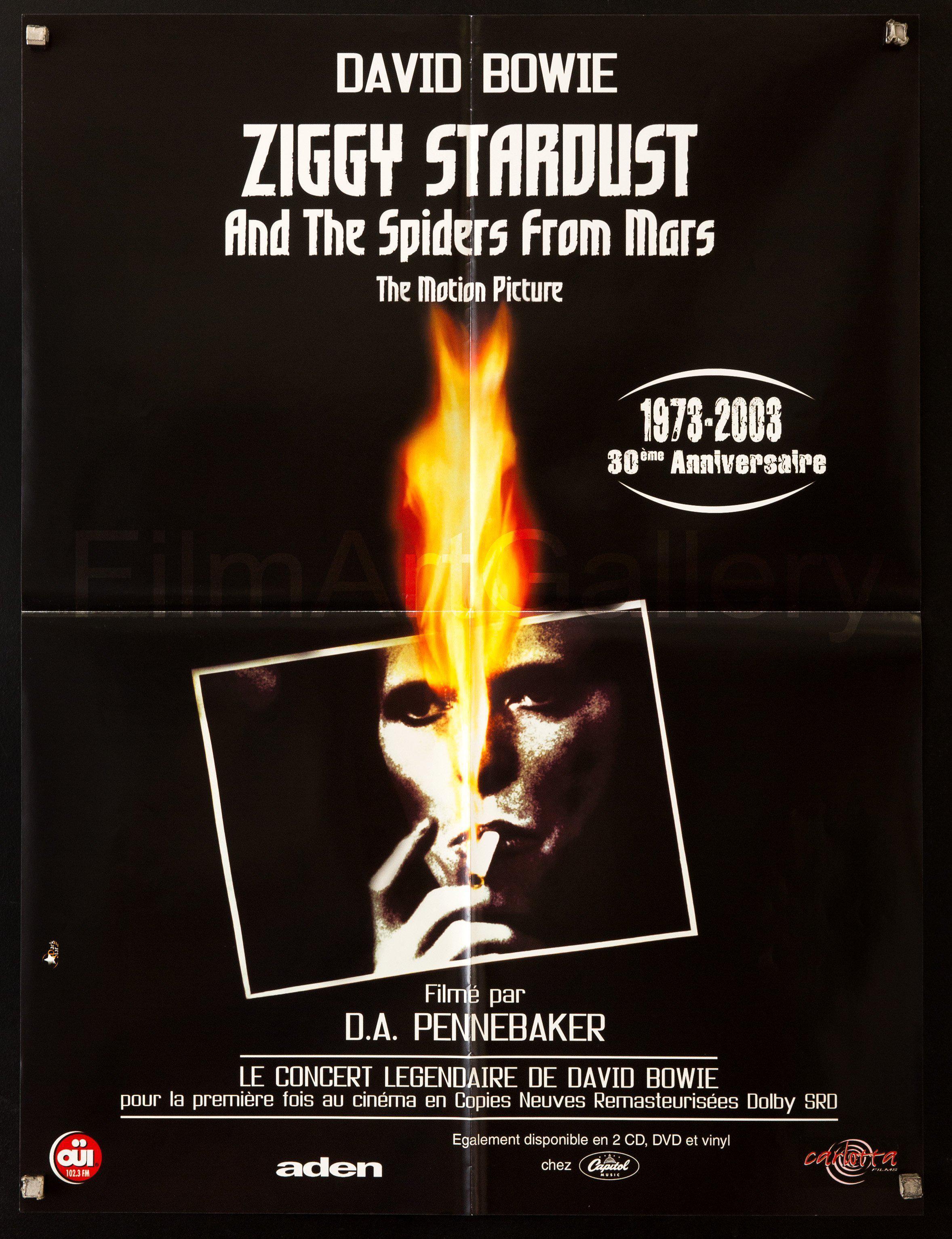 Ziggy Stardust Movie Poster 2003 ri French small (23x32)